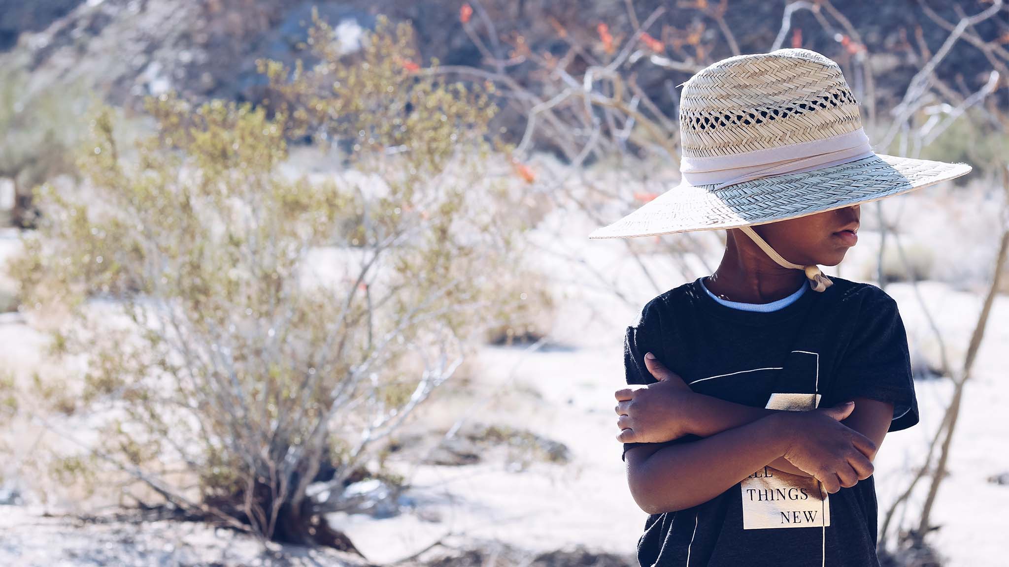 Junior Ranger Program, Activities