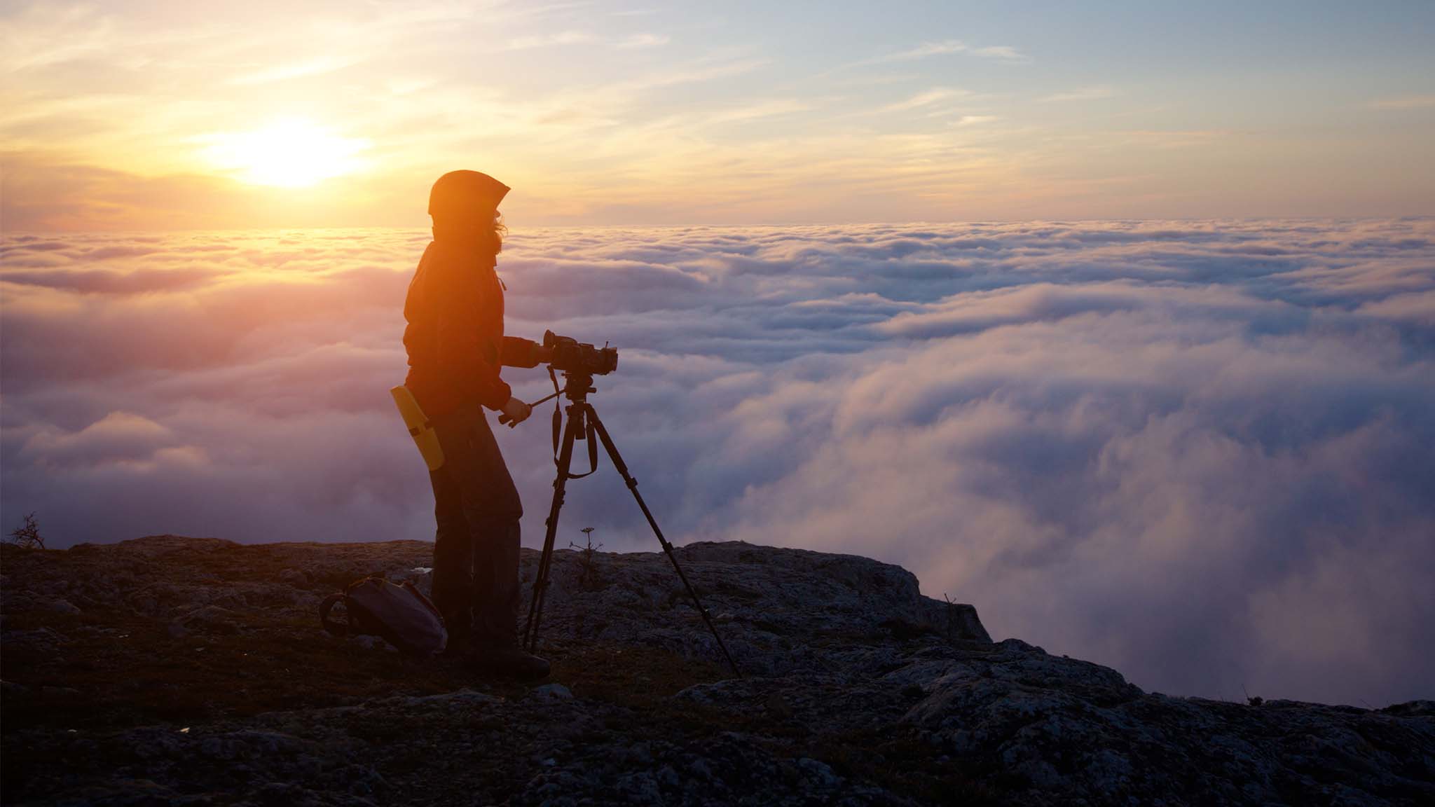 Park Film, Activities