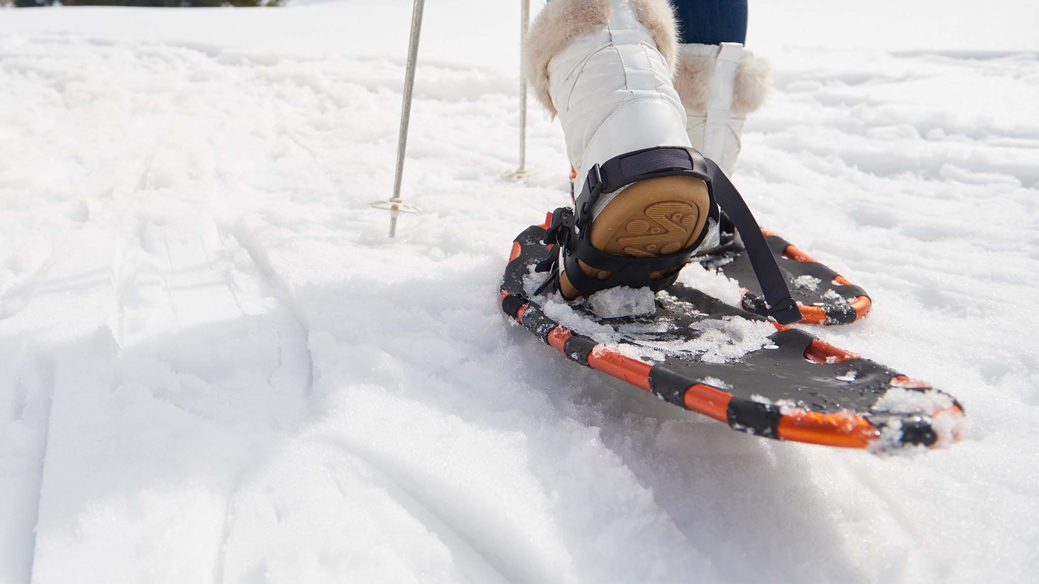 Snowshoeing, Activities