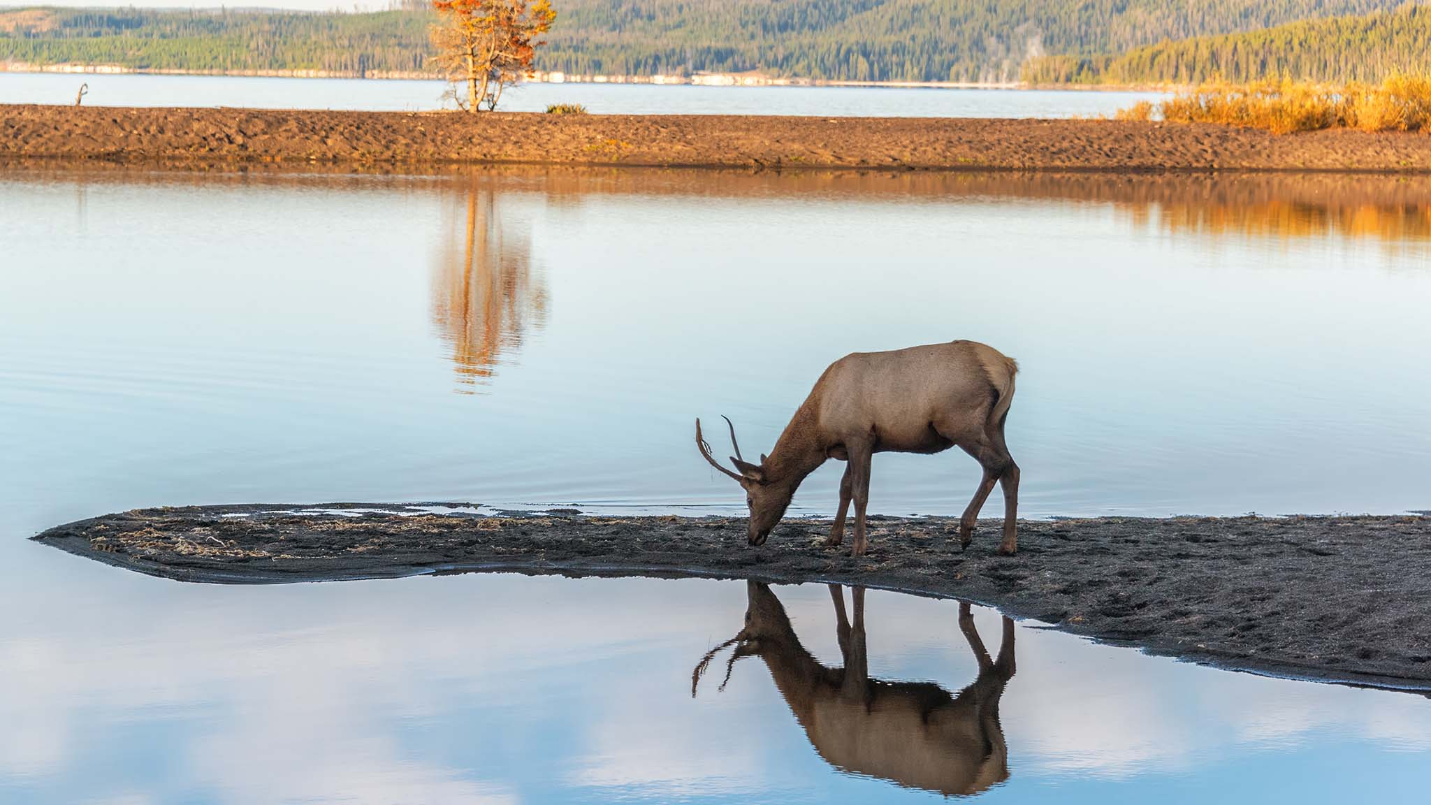 Wildlife Watching, Activities